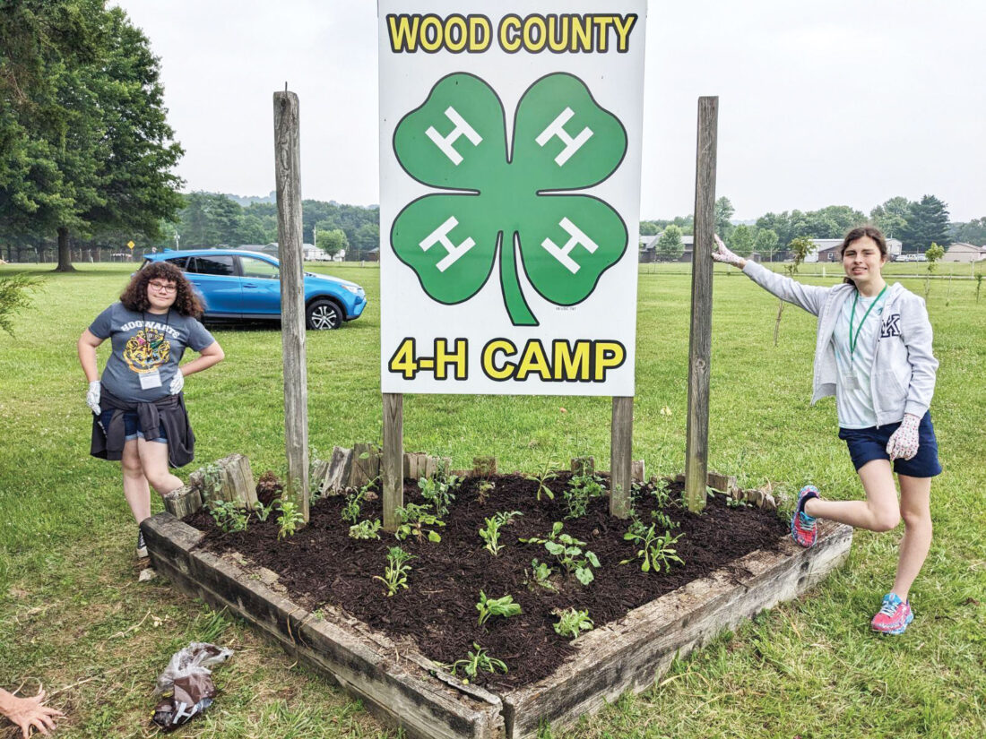 Wood County 4-H ready for big week | News, Sports, Jobs - News and Sentinel